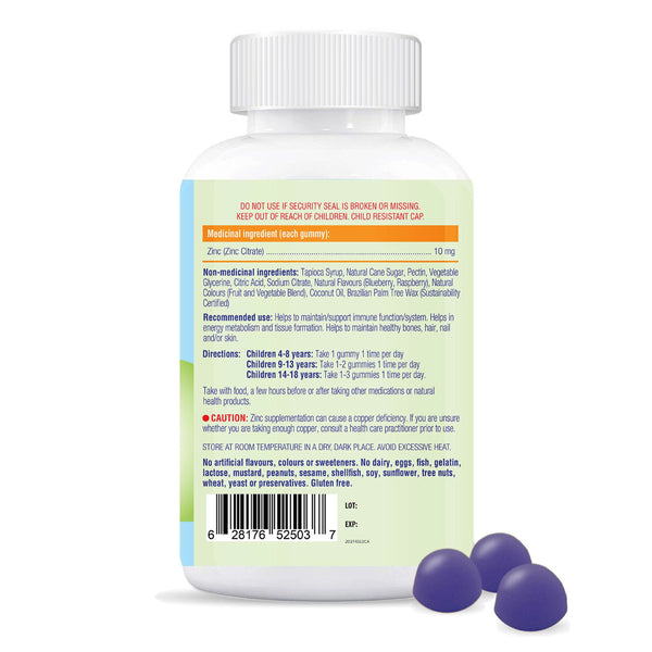 allKiDz Zinc Gummies - Kids Immune Boost | Fiddleheads - Fiddleheads ...