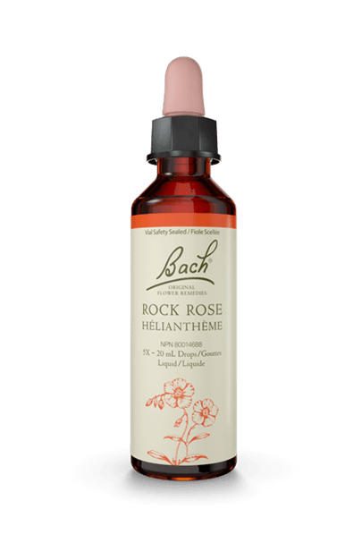 Bach Rock Rose 20ml - Fiddleheads Health and Nutrition